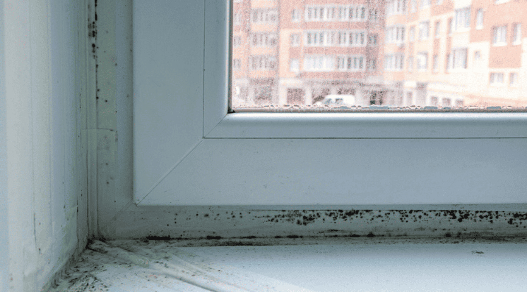 The Hidden Costs Of Window Water Intrusion In Your Commercial Buildings