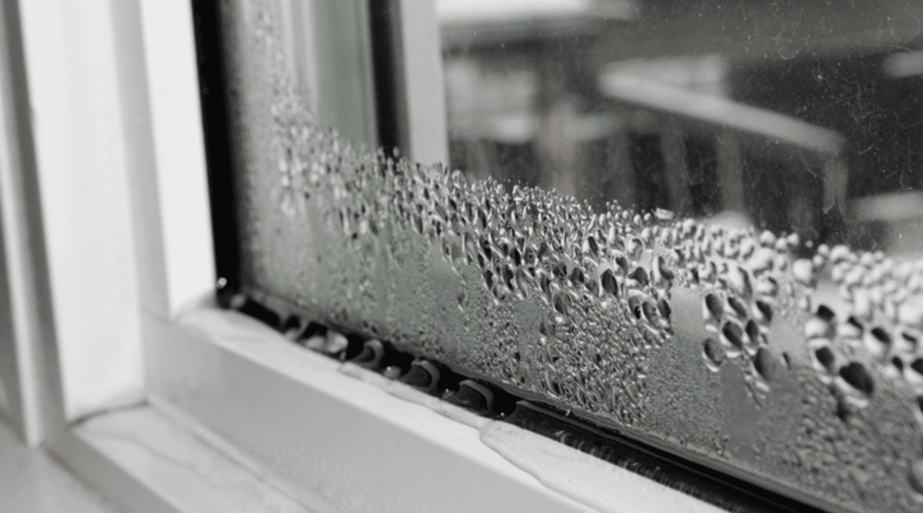 The Hidden Costs Of Window Water Intrusion In Your Commercial Buildings